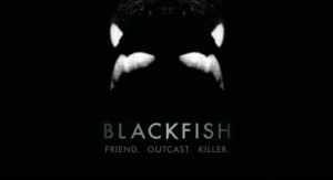 REVIEW: “Blackfish” | Keith & the Movies