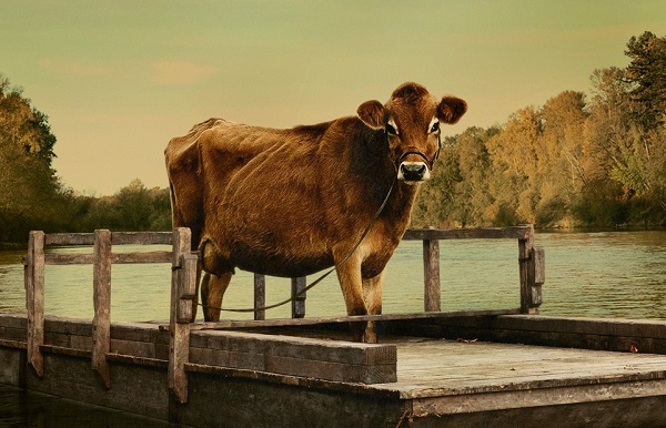 REVIEW: “First Cow” (2020) | Keith & the Movies
