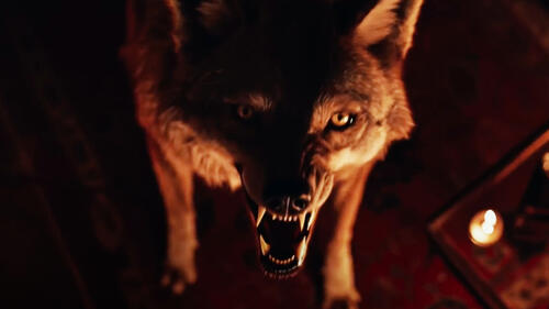 REVIEW: “Coyotes” (2025) | Keith & the Movies